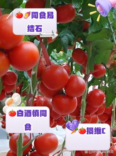 西红柿和什么食物相克_中毒症状有哪些-第2张图片-山城妙识 西红柿和什么食物相克_中毒症状有哪些-第2张图片-山城妙识
