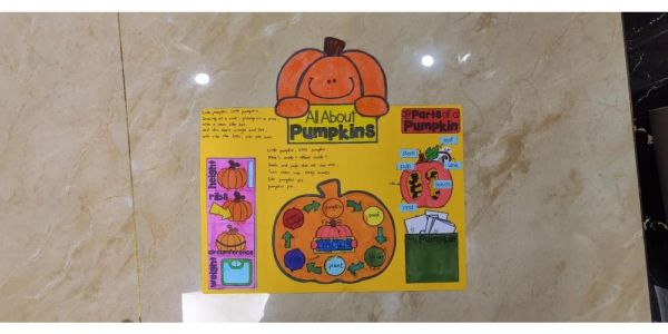 南瓜英语怎么写_pumpkin英语用法全解析-第1张图片-山城妙识