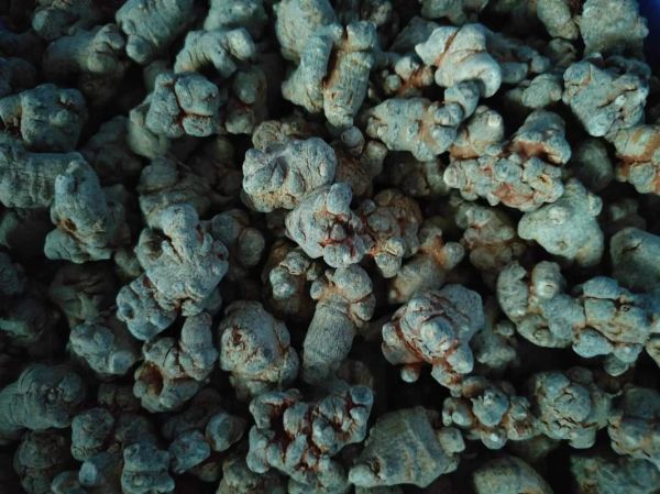 三七多少钱一斤_三七价格行情2024-第3张图片-山城妙识