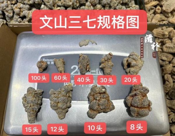 三七多少钱一斤_三七价格行情2024-第2张图片-山城妙识