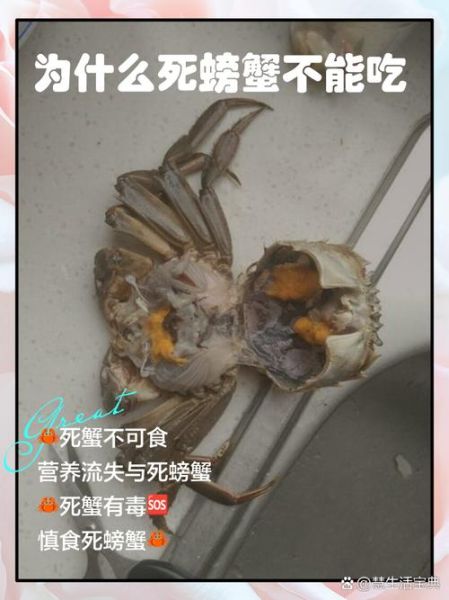 螃蟹冷藏一天死了还能吃吗_死蟹食用安全指南-第3张图片-山城妙识