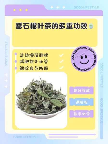 番石榴叶的功效与作用_番石榴叶可以降血糖吗-第2张图片-山城妙识