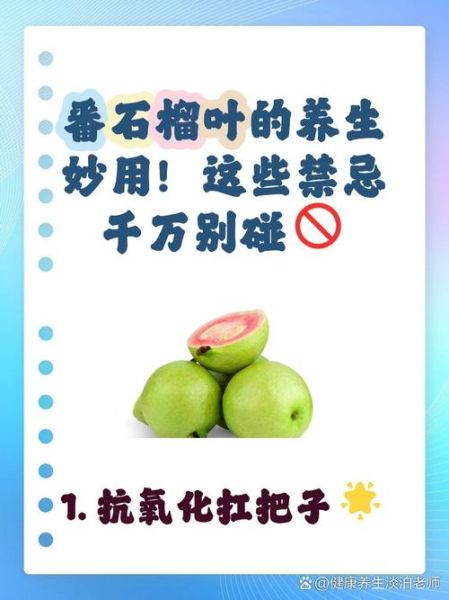 番石榴叶的功效与作用_番石榴叶可以降血糖吗-第3张图片-山城妙识