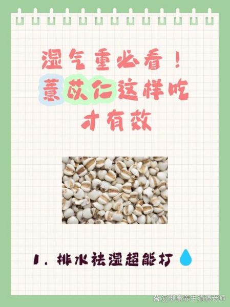 薏苡仁的功效与作用及禁忌_薏苡仁怎么吃才正确-第3张图片-山城妙识