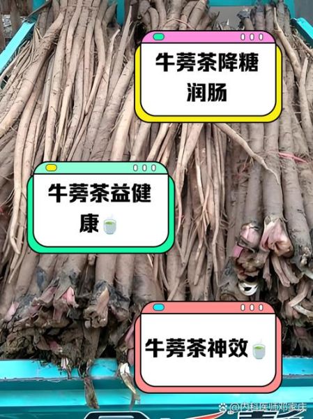 牛蒡茶的功效与作用有什么好处_长期喝牛蒡茶真的好吗-第2张图片-山城妙识