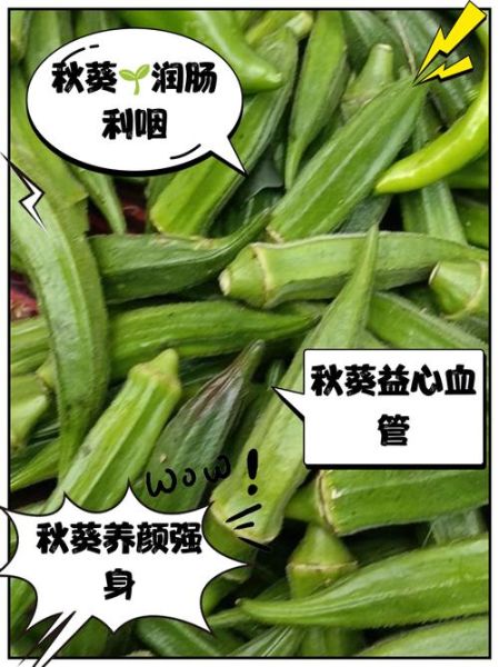 秋葵降血压吗_秋葵怎么吃降压效果好-第2张图片-山城妙识