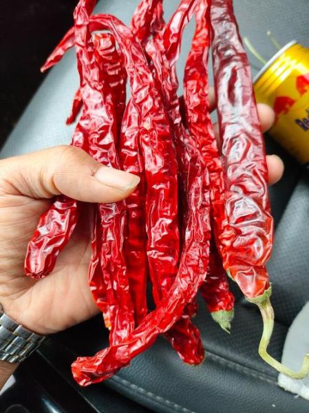 干辣椒图片大全_干辣椒品种有哪些-第3张图片-山城妙识