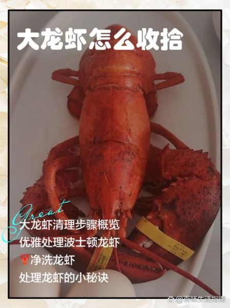 大龙虾怎么吃图解_大龙虾怎么吃才正确-第3张图片-山城妙识 大龙虾怎么吃图解_大龙虾怎么吃才正确-第3张图片-山城妙识