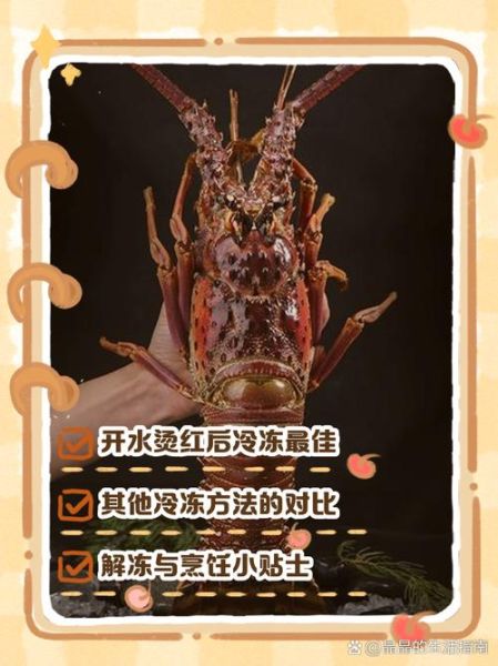 大龙虾怎么吃图解_大龙虾怎么吃才正确-第2张图片-山城妙识 大龙虾怎么吃图解_大龙虾怎么吃才正确-第2张图片-山城妙识