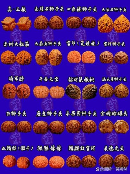 文玩核桃品种排名_哪种最值得入手-第2张图片-山城妙识 文玩核桃品种排名_哪种最值得入手-第2张图片-山城妙识