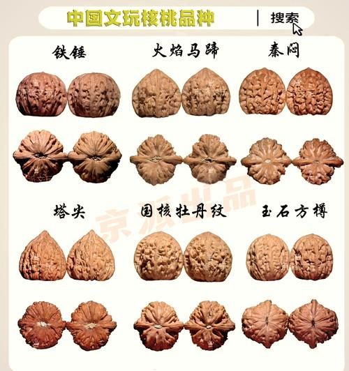 文玩核桃品种排名_哪种最值得入手-第1张图片-山城妙识 文玩核桃品种排名_哪种最值得入手-第1张图片-山城妙识