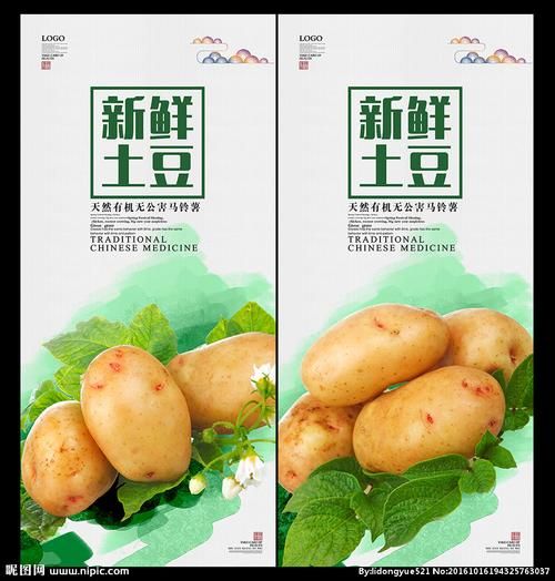 土豆网下载安装官方网站_土豆网安全吗-第1张图片-山城妙识