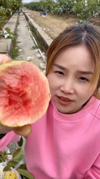 芭乐视频app无限制ios怎么下载_芭乐视频ios破解版安全吗-第2张图片-山城妙识