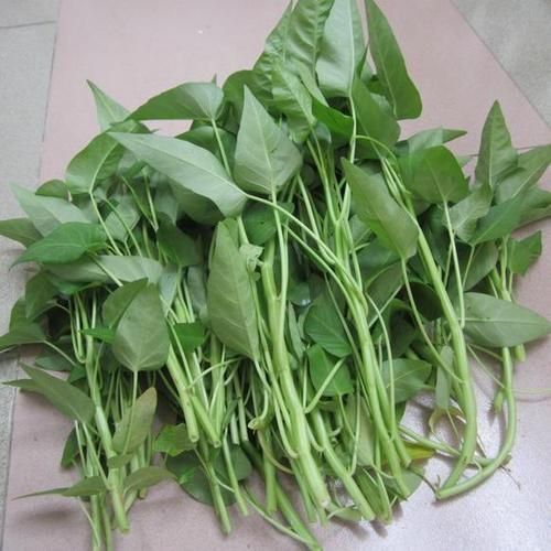 通菜吃多了会抽筋吗_通菜抽筋原因-第3张图片-山城妙识