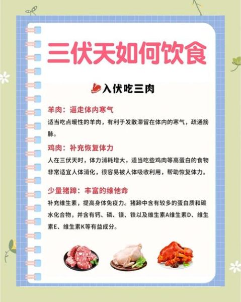 三伏天如何调理身体_三伏天吃什么最养生-第2张图片-山城妙识