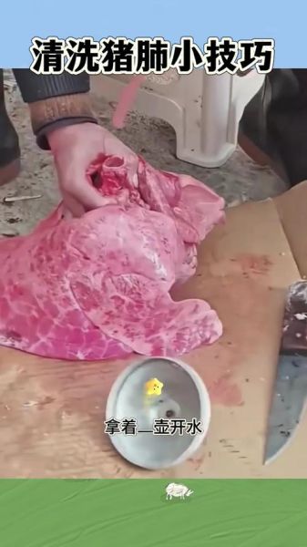 猪肺怎么做好吃又简单_猪肺清洗去腥技巧-第2张图片-山城妙识 猪肺怎么做好吃又简单_猪肺清洗去腥技巧-第2张图片-山城妙识