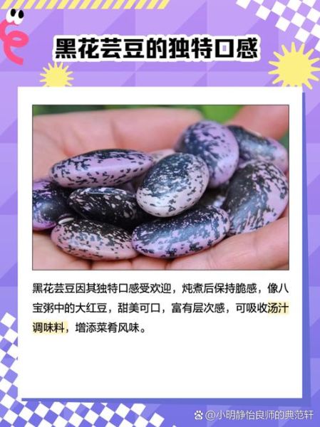 黑芸豆怎么吃_黑芸豆的正确做法-第1张图片-山城妙识 黑芸豆怎么吃_黑芸豆的正确做法-第1张图片-山城妙识