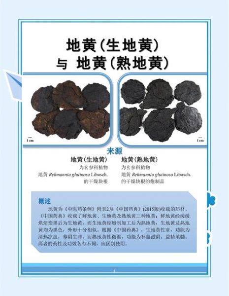 地黄的功效与作用_鲜地黄与干地黄区别-第2张图片-山城妙识