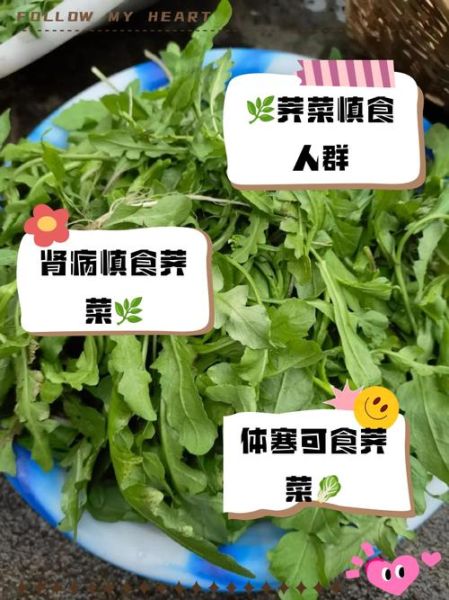 荠菜什么人不能吃_荠菜禁忌有哪些-第2张图片-山城妙识