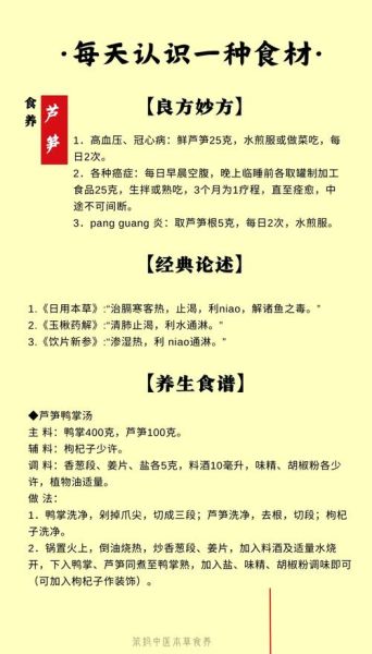 芦笋的种类有哪些_绿芦笋和白芦笋区别-第2张图片-山城妙识