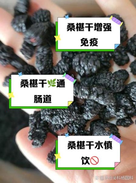 干桑葚泡水喝的害处_干桑葚泡水禁忌-第2张图片-山城妙识