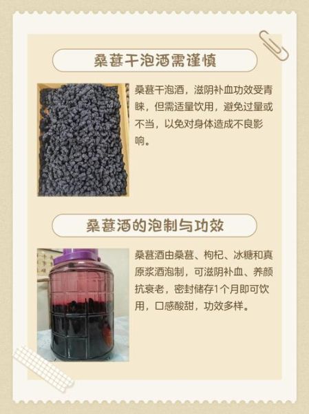 干桑葚泡水喝的害处_干桑葚泡水禁忌-第3张图片-山城妙识