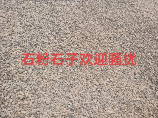 苍蝇头石子多少钱一吨_如何挑选优质苍蝇头石子-第2张图片-山城妙识