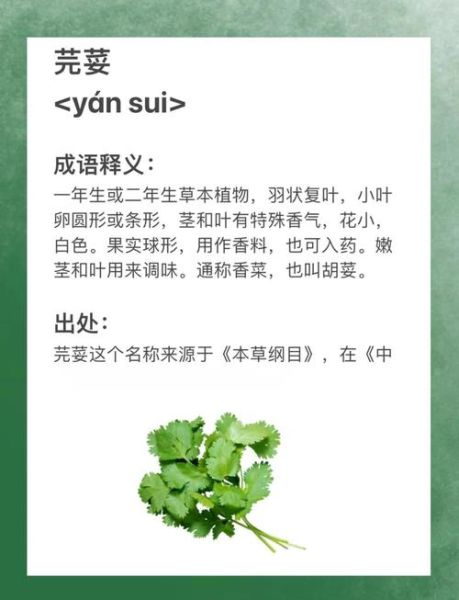 芫荽怎么读_芫荽是什么意思-第2张图片-山城妙识