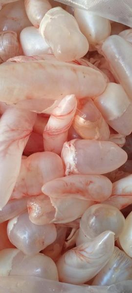 鱼鳔图片大全_鱼鳔长什么样-第2张图片-山城妙识