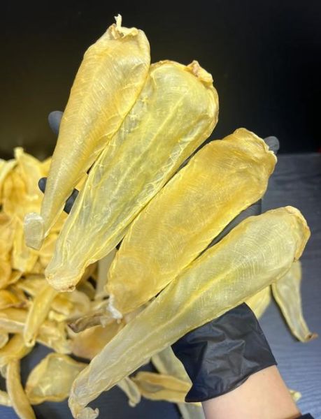 鱼鳔图片大全_鱼鳔长什么样-第1张图片-山城妙识