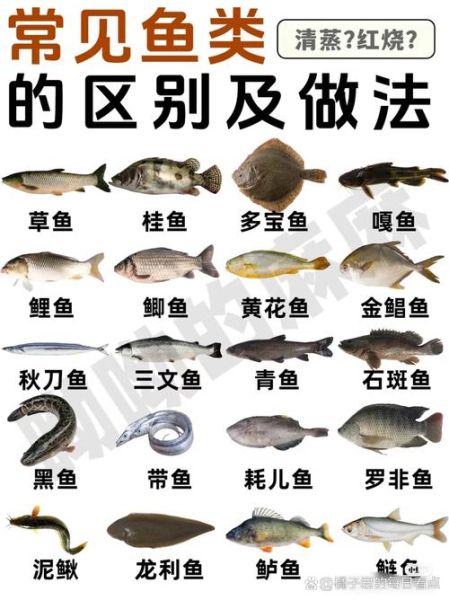 常见淡水鱼有哪些_如何区分常见海鱼-第1张图片-山城妙识 常见淡水鱼有哪些_如何区分常见海鱼-第1张图片-山城妙识