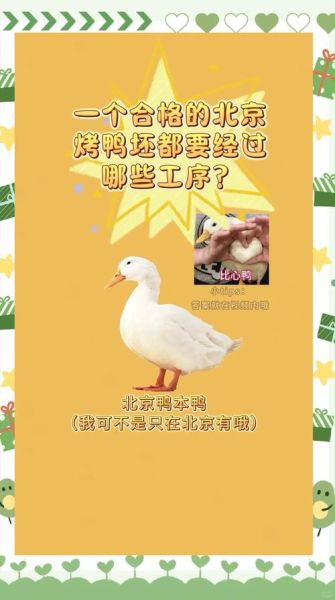 北京烤鸭怎么做_正宗挂炉步骤-第1张图片-山城妙识