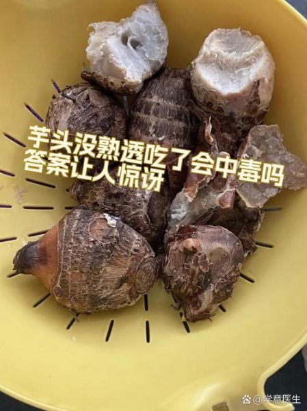 减肥为什么不能吃芋头_芋头热量高吗-第3张图片-山城妙识