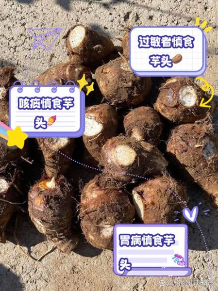 减肥为什么不能吃芋头_芋头热量高吗-第1张图片-山城妙识