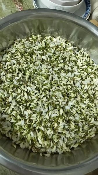 洋槐花素饺子怎么做_洋槐花素饺子馅怎么调-第3张图片-山城妙识 洋槐花素饺子怎么做_洋槐花素饺子馅怎么调-第3张图片-山城妙识