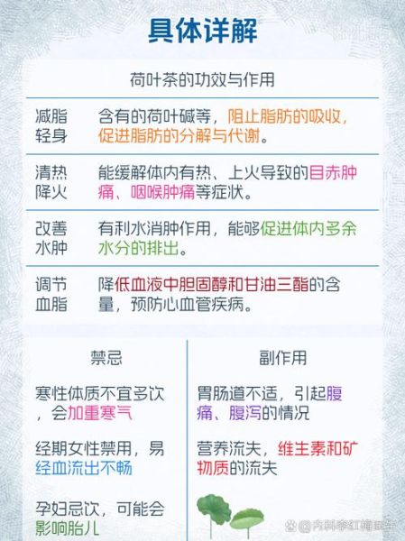 荷叶茶什么人不能喝_荷叶茶禁忌人群有哪些-第2张图片-山城妙识 荷叶茶什么人不能喝_荷叶茶禁忌人群有哪些-第2张图片-山城妙识