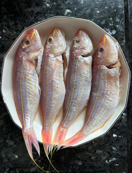 红杉鱼怎么做好吃_红杉鱼的营养价值有哪些-第1张图片-山城妙识 红杉鱼怎么做好吃_红杉鱼的营养价值有哪些-第1张图片-山城妙识