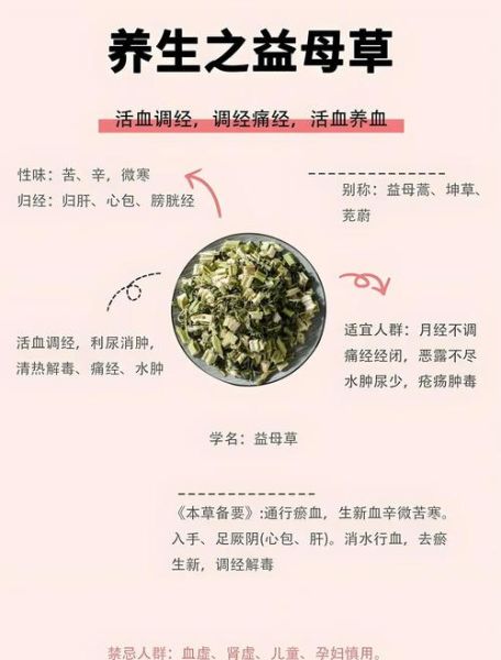 益母草煮水喝的禁忌_哪些人不能喝益母草水-第1张图片-山城妙识