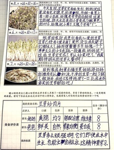 绿豆发芽需要几天_绿豆发芽过程图解-第2张图片-山城妙识