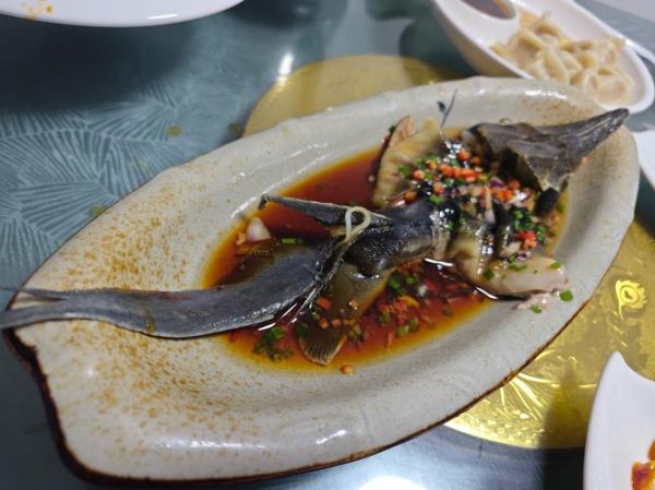 鲟鳇鱼怎么做好吃_鲟鳇鱼做法大全-第1张图片-山城妙识