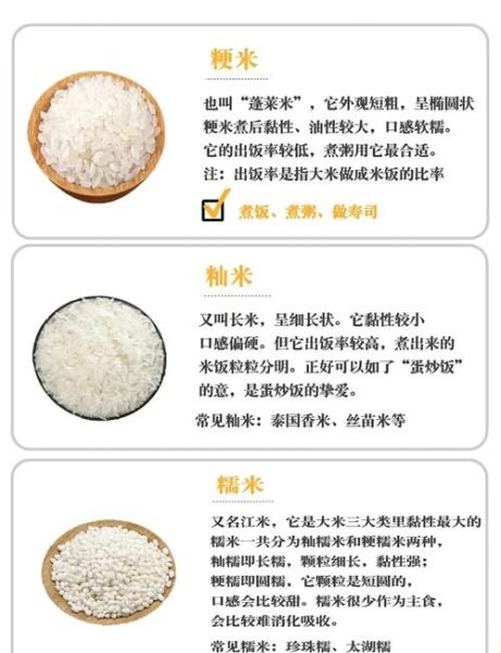 粳米和大米有什么区别_粳米怎么煮好吃-第1张图片-山城妙识