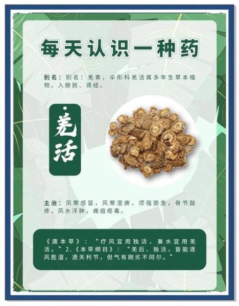 羌活胜湿汤方歌记忆口诀_功效与主治是什么-第2张图片-山城妙识