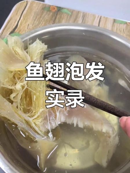鱼翅怎么泡发_鱼翅泡发需要多久-第2张图片-山城妙识 鱼翅怎么泡发_鱼翅泡发需要多久-第2张图片-山城妙识