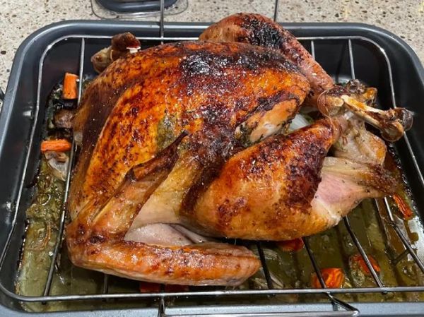 烤火鸡需要多大的烤箱_家用烤箱容量怎么选-第2张图片-山城妙识