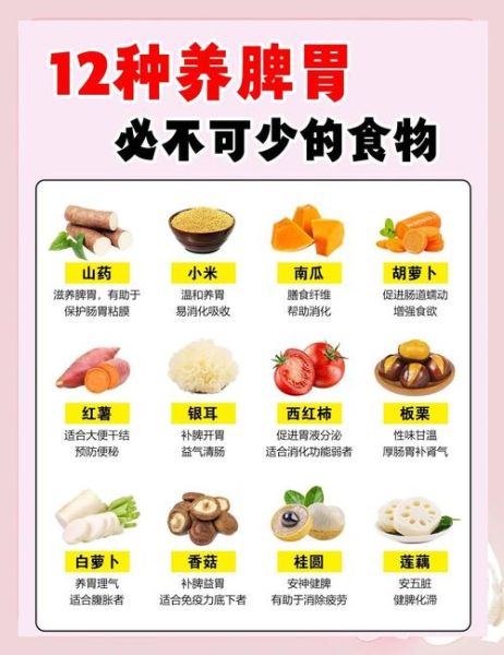 中小学生营养食谱_如何搭配一周不重复-第2张图片-山城妙识 中小学生营养食谱_如何搭配一周不重复-第2张图片-山城妙识