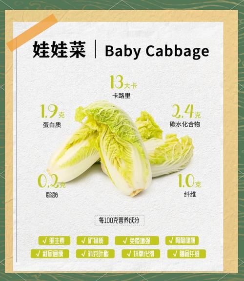 娃娃菜和大白菜是一个品种吗_娃娃菜与大白菜区别-第1张图片-山城妙识