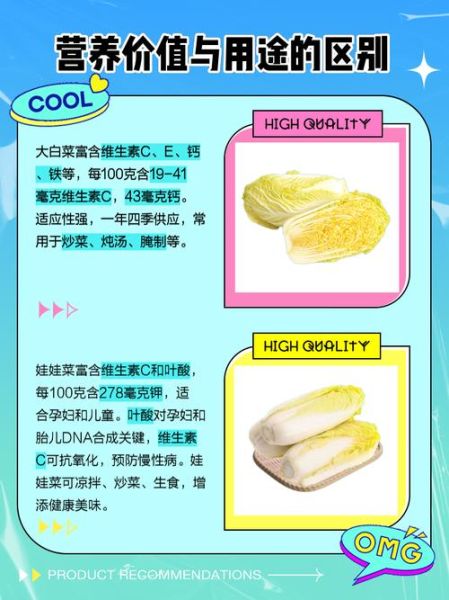 娃娃菜和大白菜是一个品种吗_娃娃菜与大白菜区别-第2张图片-山城妙识