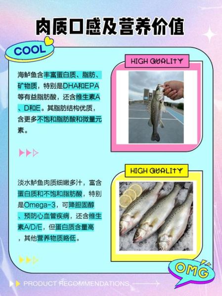 鲈鱼是海鱼吗_淡水鲈鱼和海鲈区别-第1张图片-山城妙识