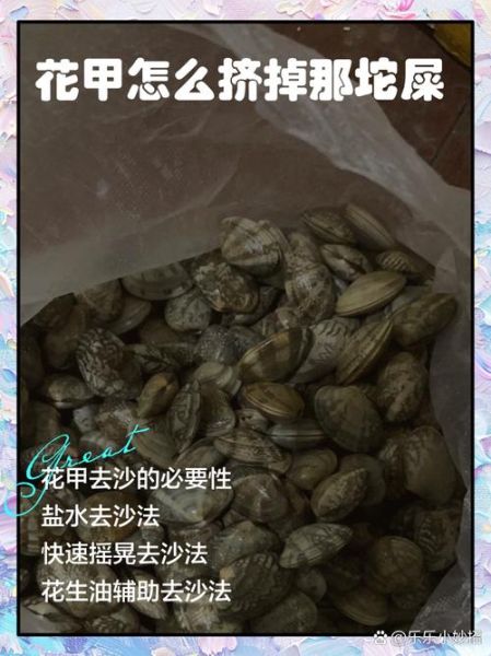 花甲不张嘴吐沙怎么办_花甲怎么快速吐沙-第1张图片-山城妙识