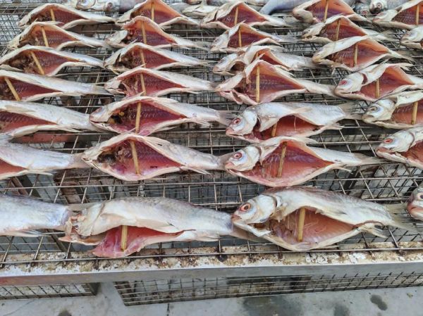 糍粑鱼块要风干多久_最佳风干时间-第2张图片-山城妙识